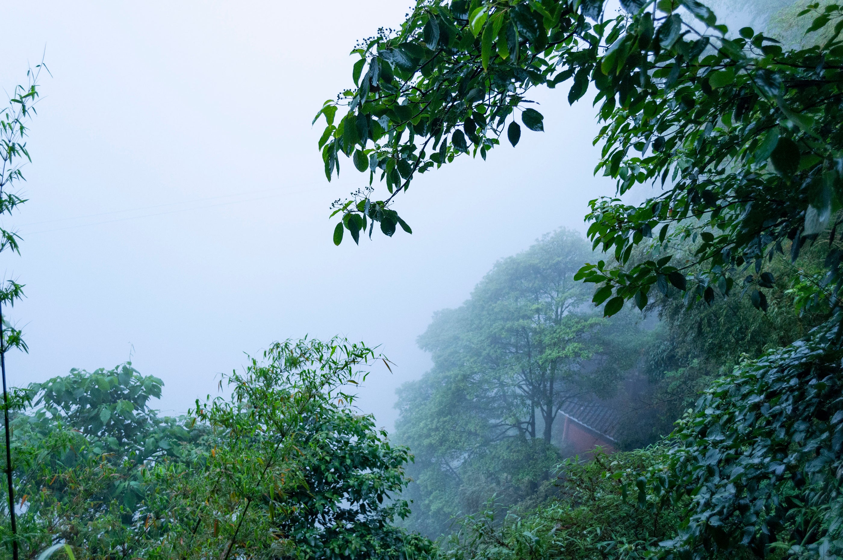 Earth Day 2023: A Waste Reducing Equation | YALA